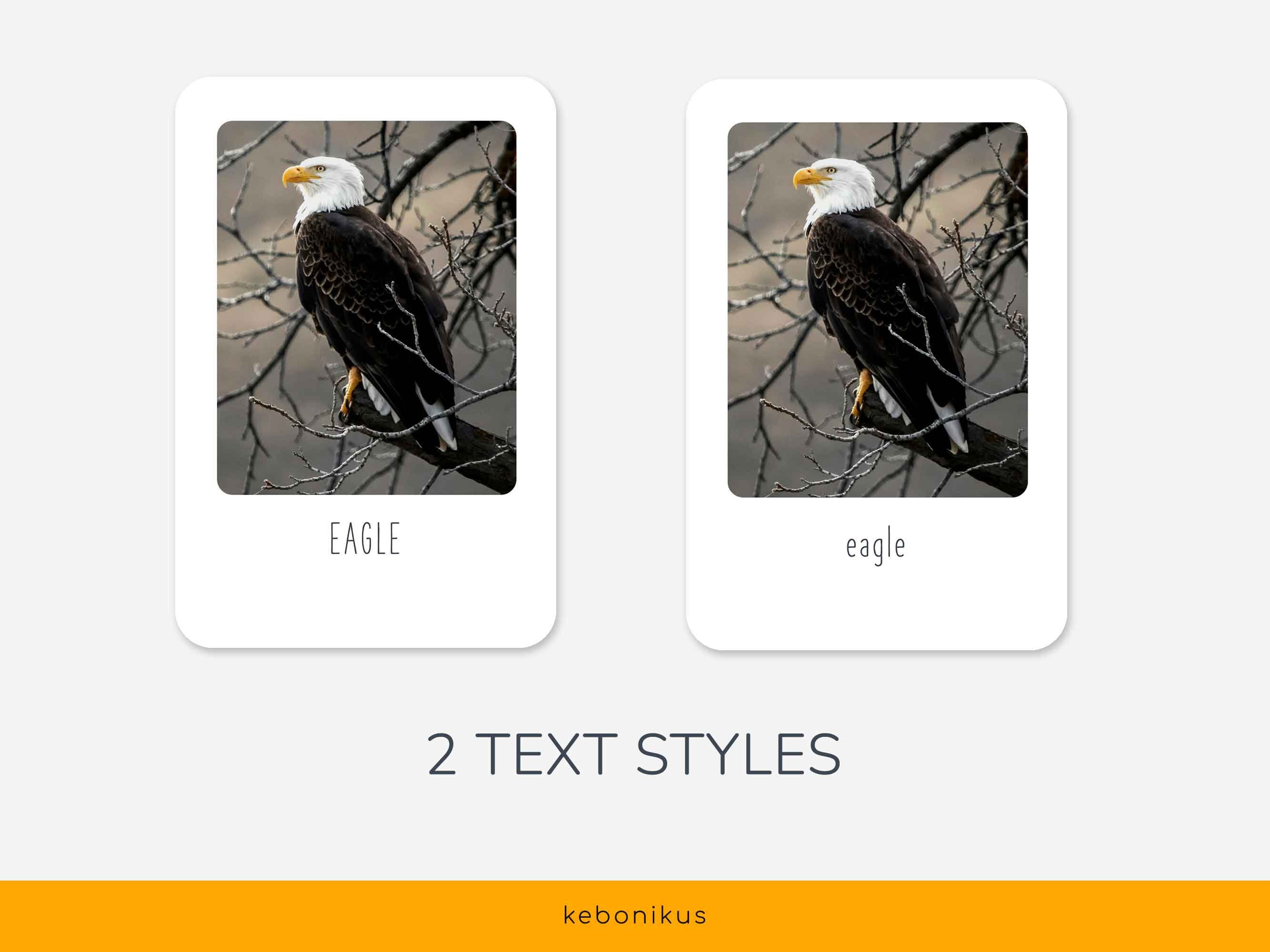 Educational Animals Cards for Kids Download the 101 Montessori Animals ...