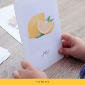 Educational Fruit Cards for Kids – Download the 31 Montessori Fruit ...