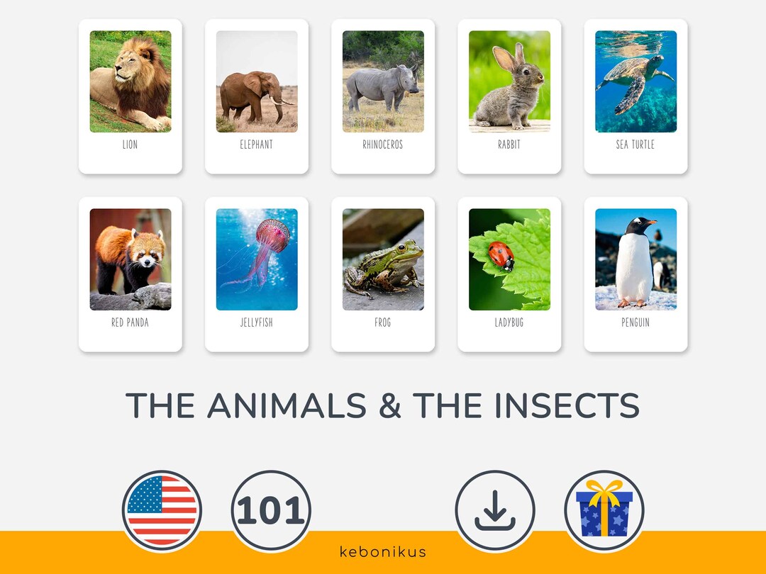Educational Animals Cards for Kids – Download the 101 Montessori ...