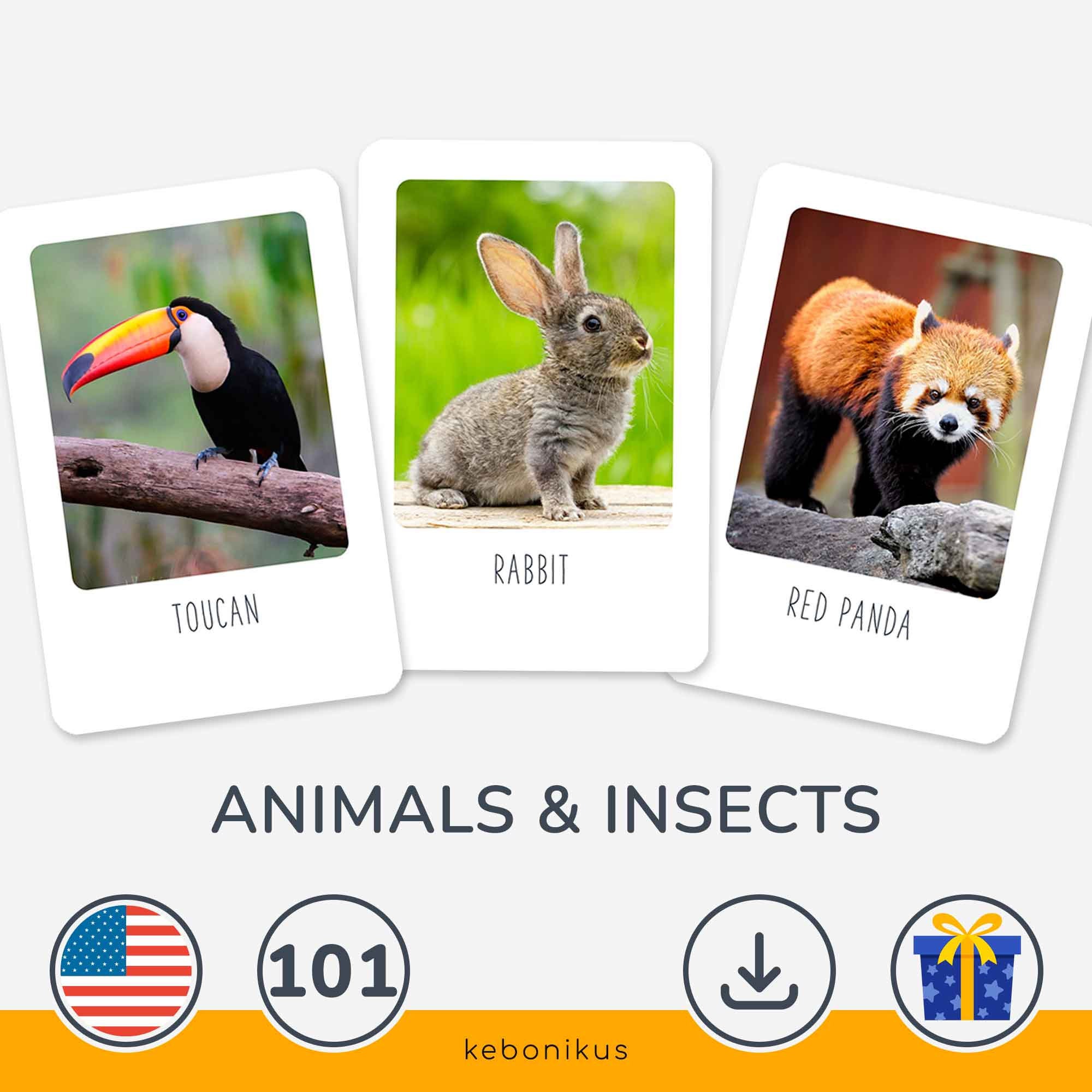 Educational Animals Cards for Kids Download the 101 Montessori Animals ...