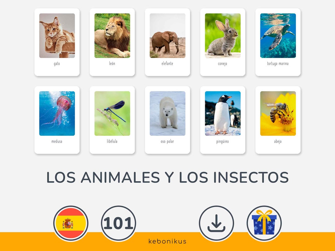 Tarjetas Educativas De Los Animales Para Niños – Descarga Las 101 ...