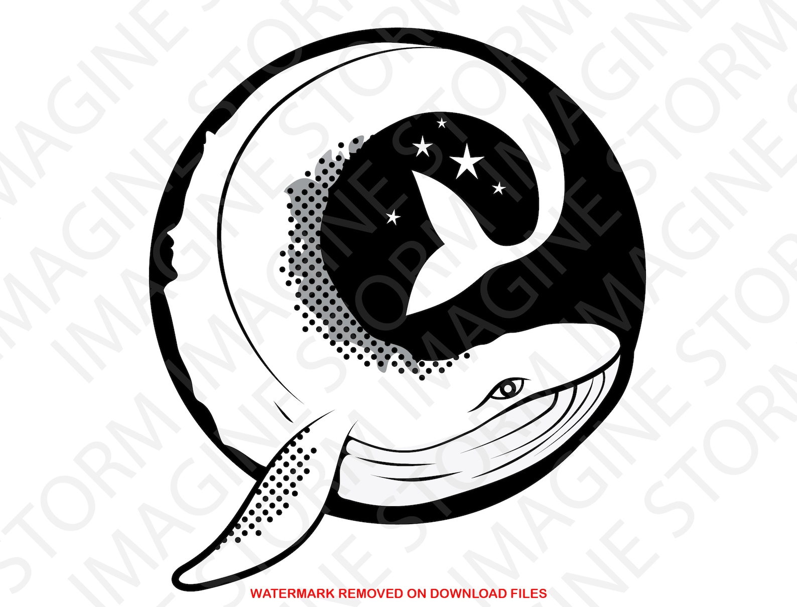 Whale Circle Digital Vector Files SVG Png DXF PDF Eps Silhouette ...