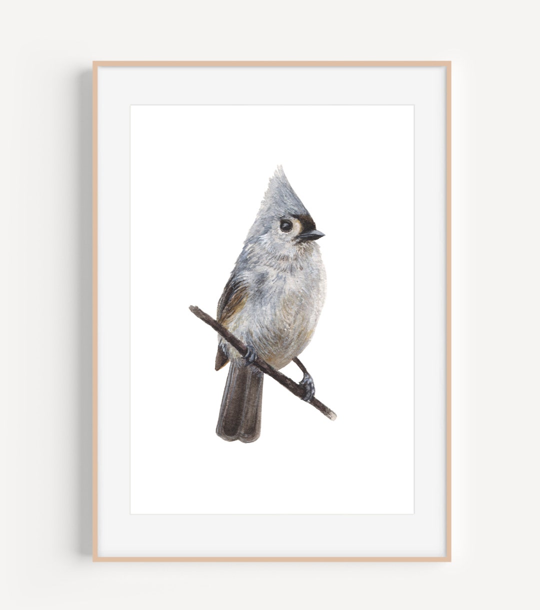 Tufted Titmouse, Bird Art Print, Tufted Titmouse Painting, Bird ...