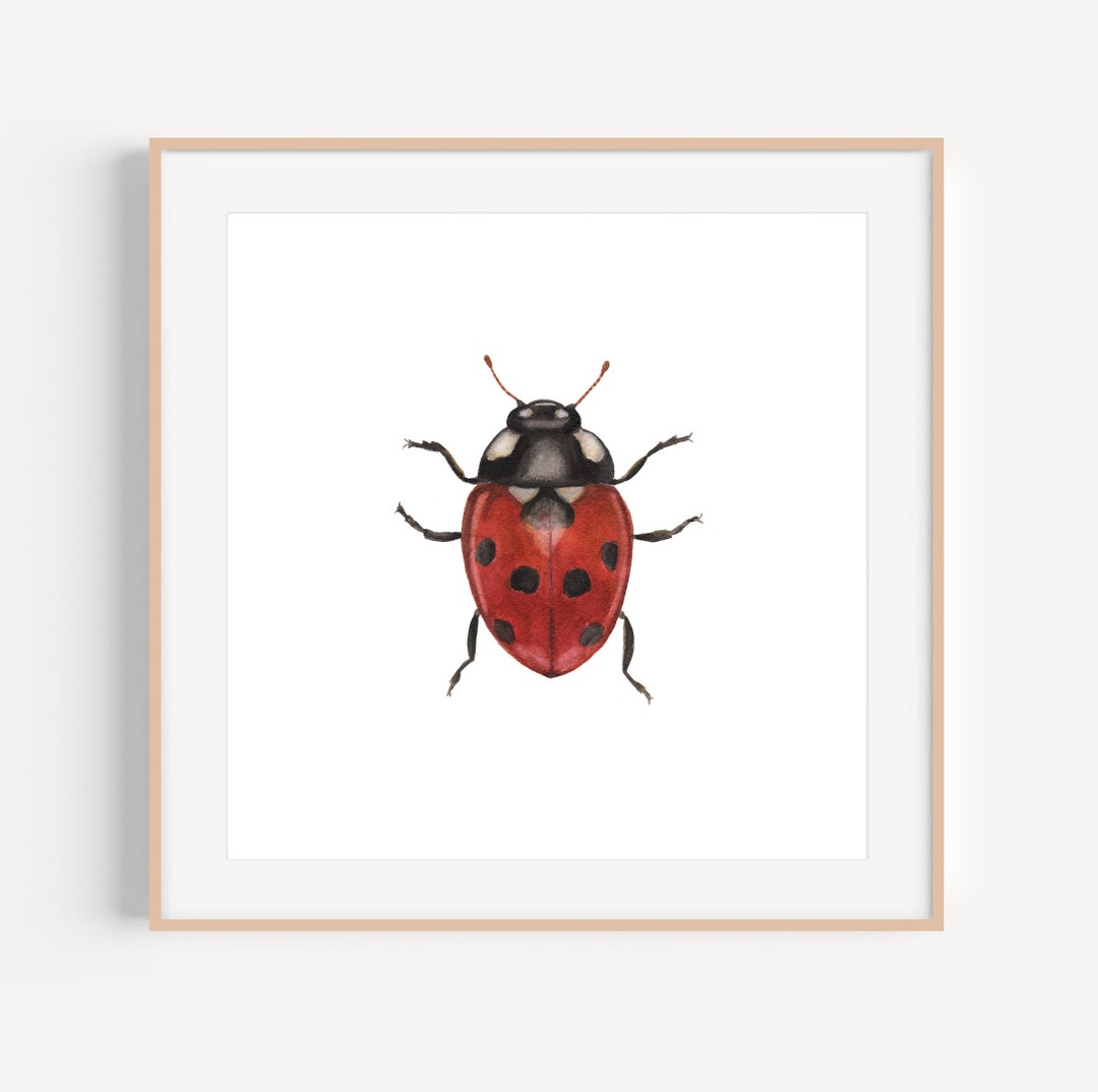 Ladybug Art Print | Ladybug Painting | Insect Art Print - Etsy
