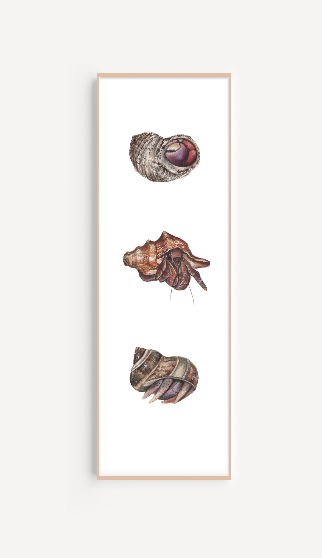 Hermit Crab Painting, Hermit Crab Art, Watercolor Art - Etsy