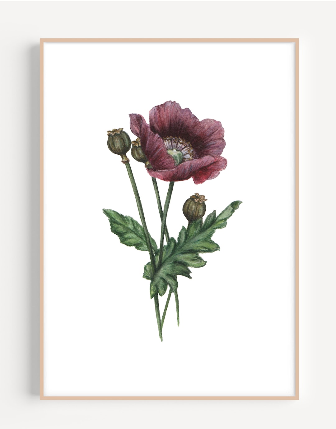 Poppy Art Print, Poppy Flower Painting, Purple Poppy Flower - Etsy