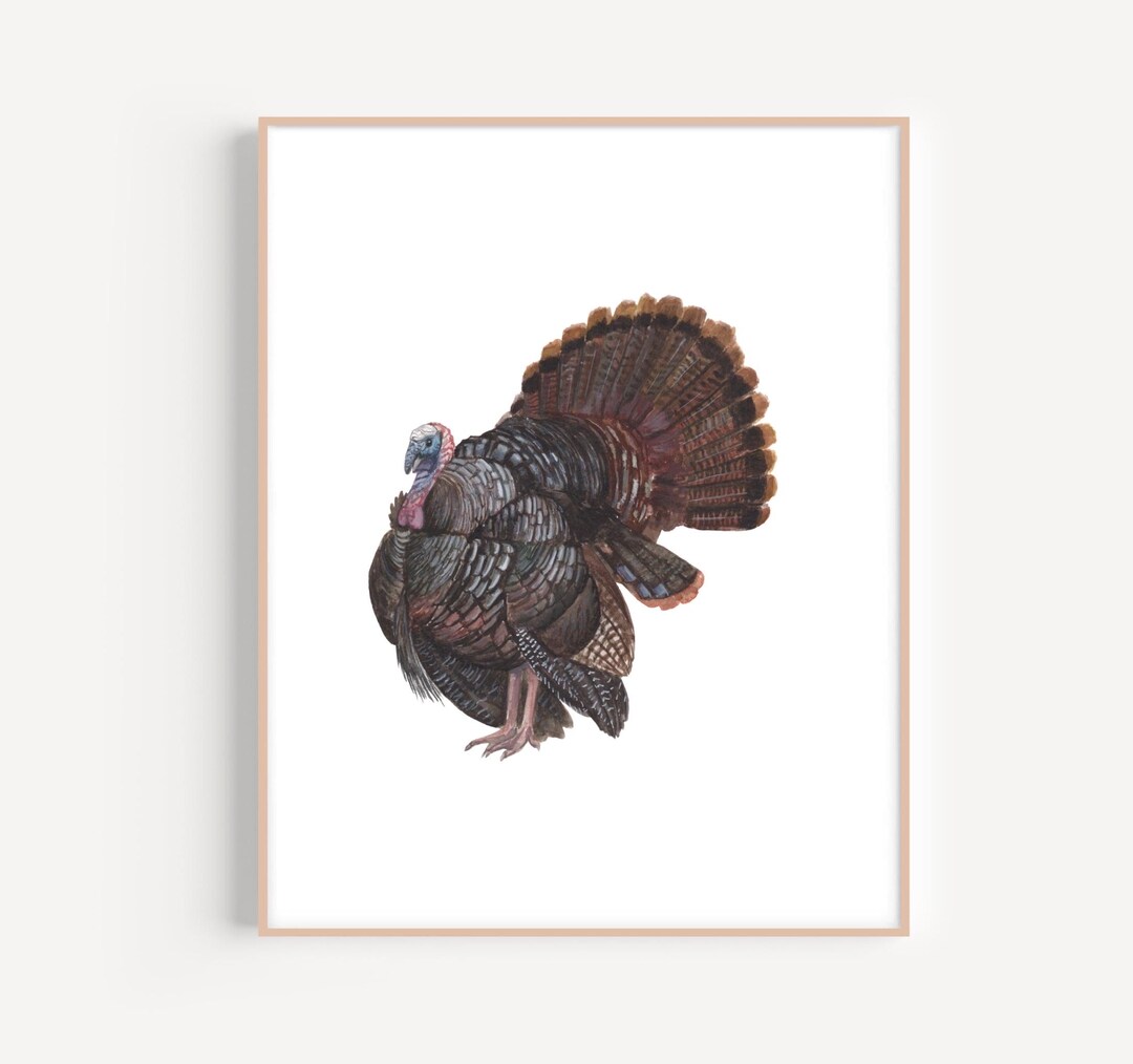 Turkey Painting, Turkey Art Print, Turkey Watercolor - Etsy