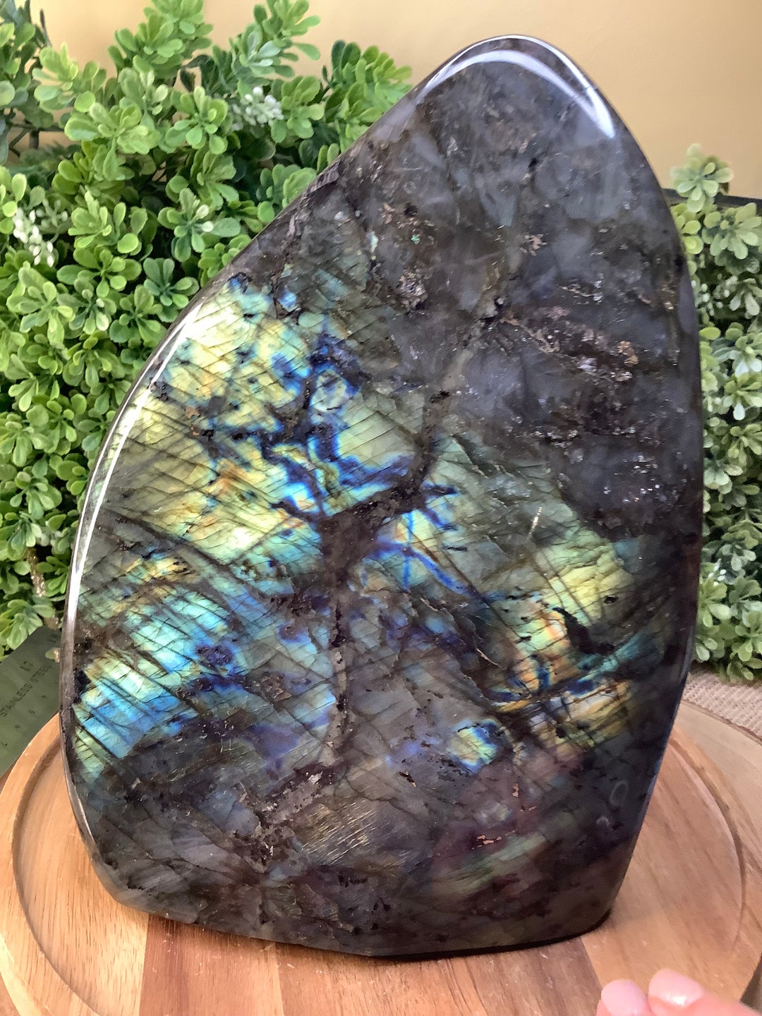 Super Flashy Extra Large Labradorite Polished Freeform, Vibrant Colors ...