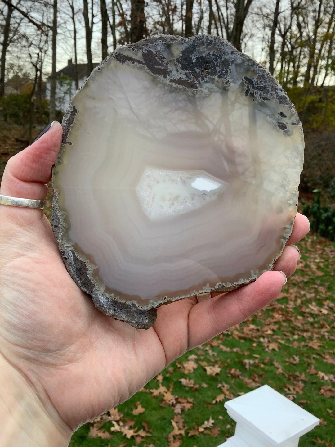 Limb Cast Slab From California, Polished One One Side, With a Stand - Etsy