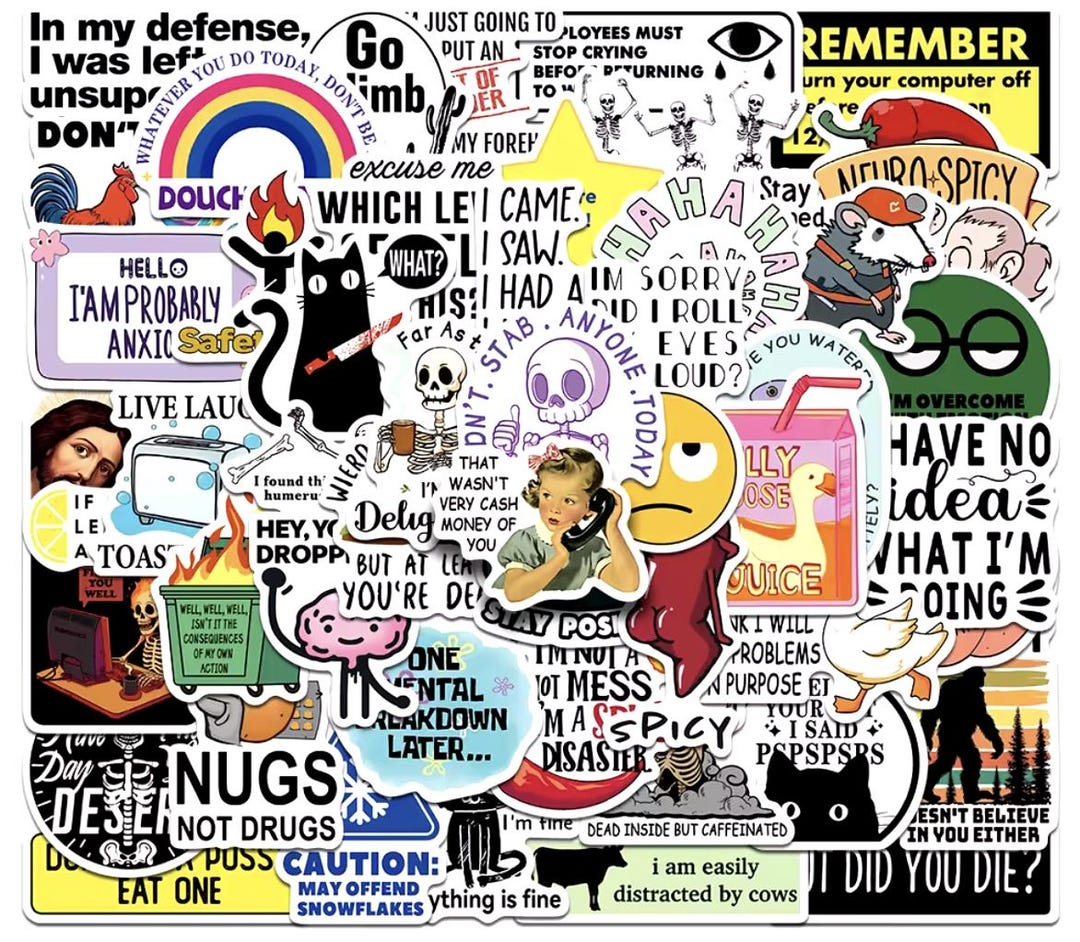 Snarky Meme Stickers | Random Sticker Pack - Etsy