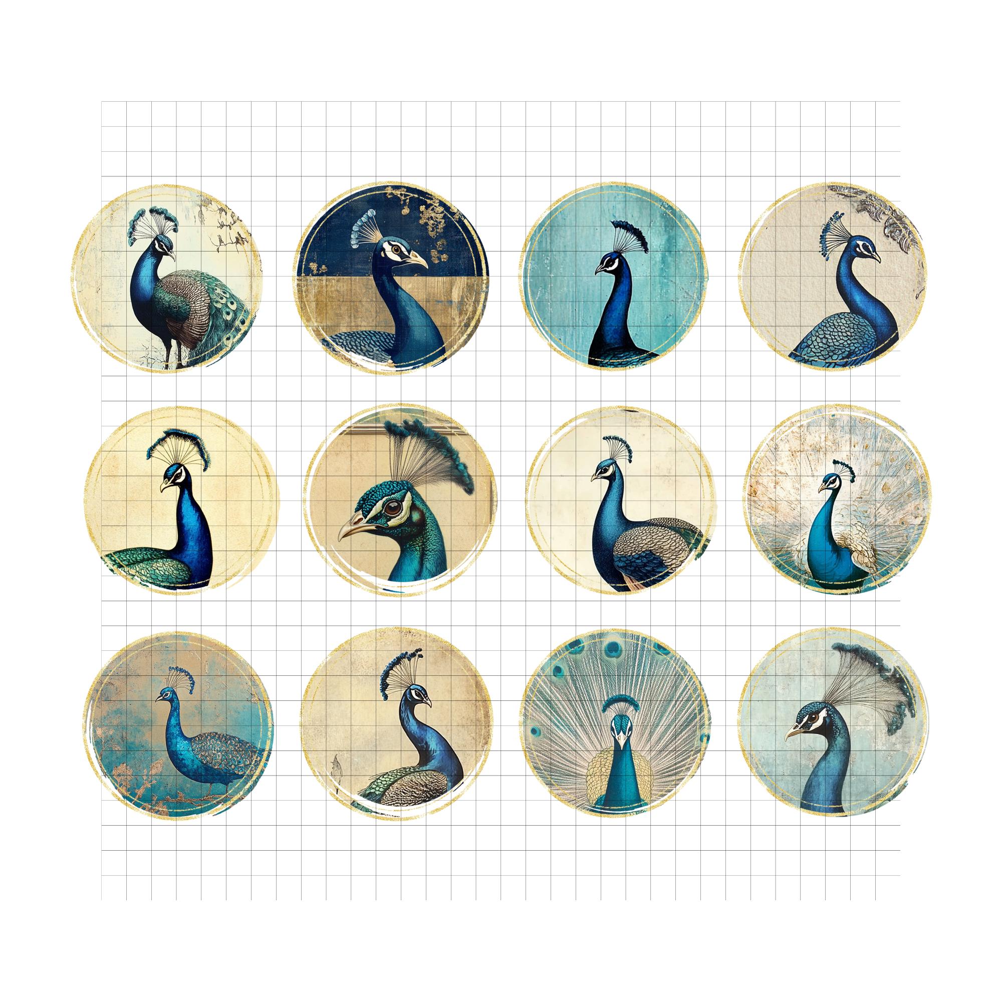 Printable Peacock 2 Inch Circles | Themed Circles | Digital Download ...