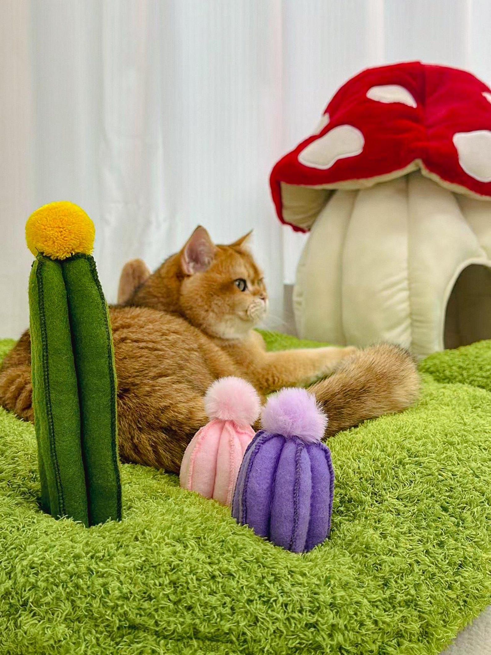 Whimsical Mushroom Cat Cave With Plush Grass Mat Cozy, Interactive Play ...