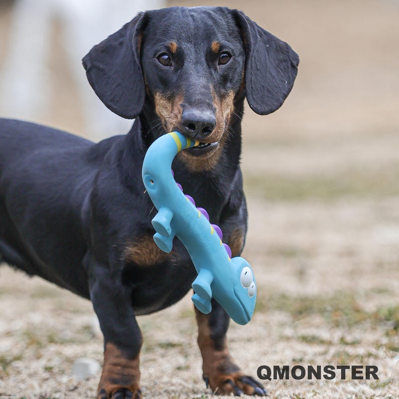 Squeaky Latex Lizard Dog Toy: Handmade Interactive Chew Toy - Etsy