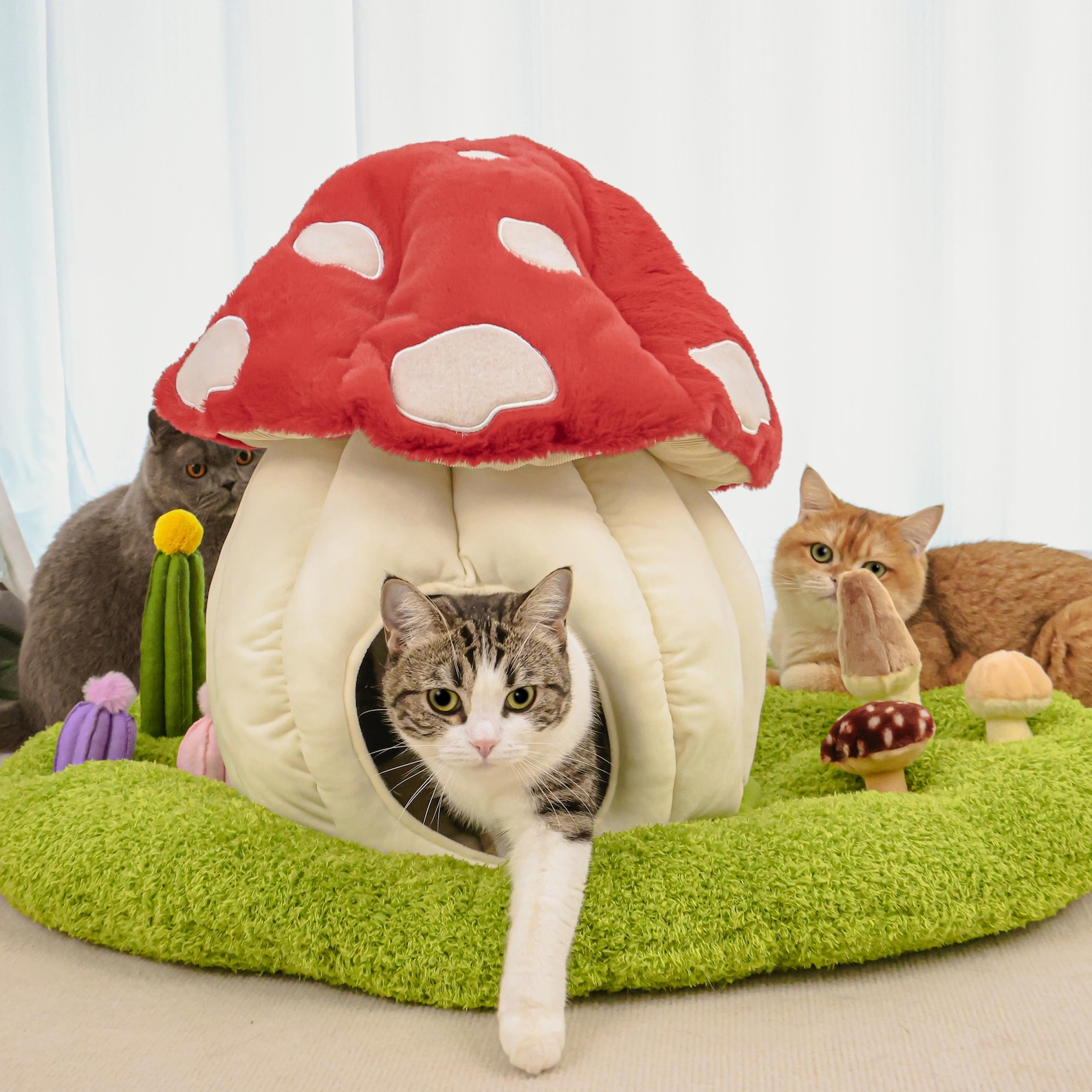 Whimsical Mushroom Cat Cave With Plush Grass Mat Cozy, Interactive Play ...