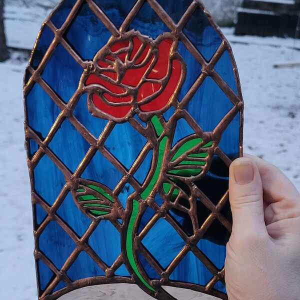 Rose in Glass Case - Etsy