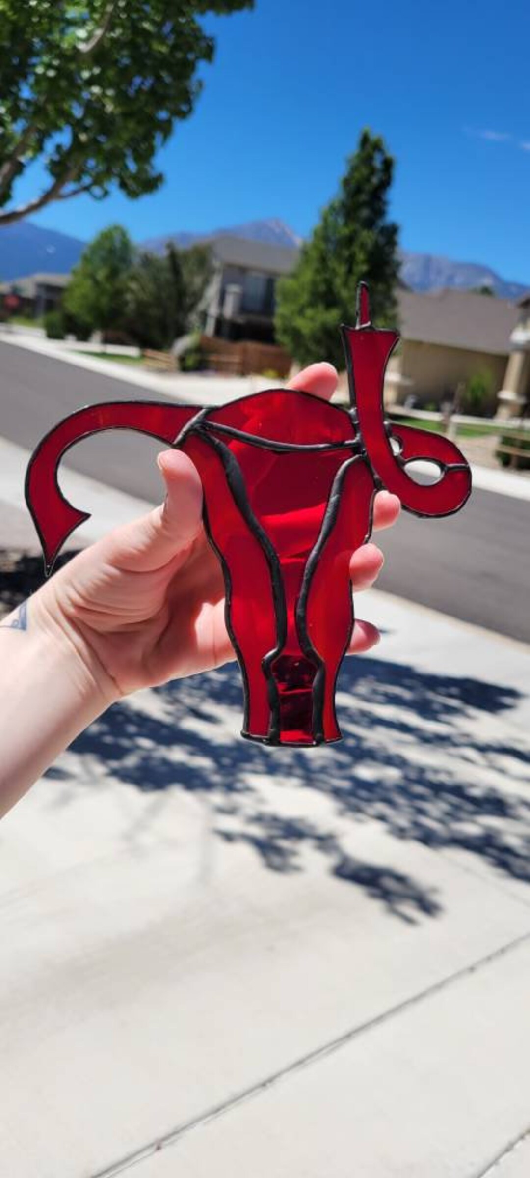 Uterus Window Hanging - Etsy