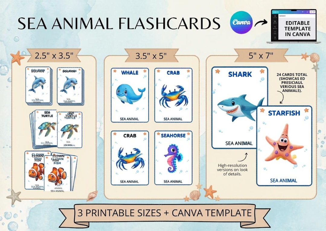 Sea Animal Flashcards Printable | Ocean Animals, Kids Learning (canva ...