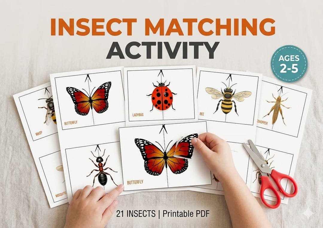 Insect Matching Activity for Toddlers | Cut and Paste Preschool ...