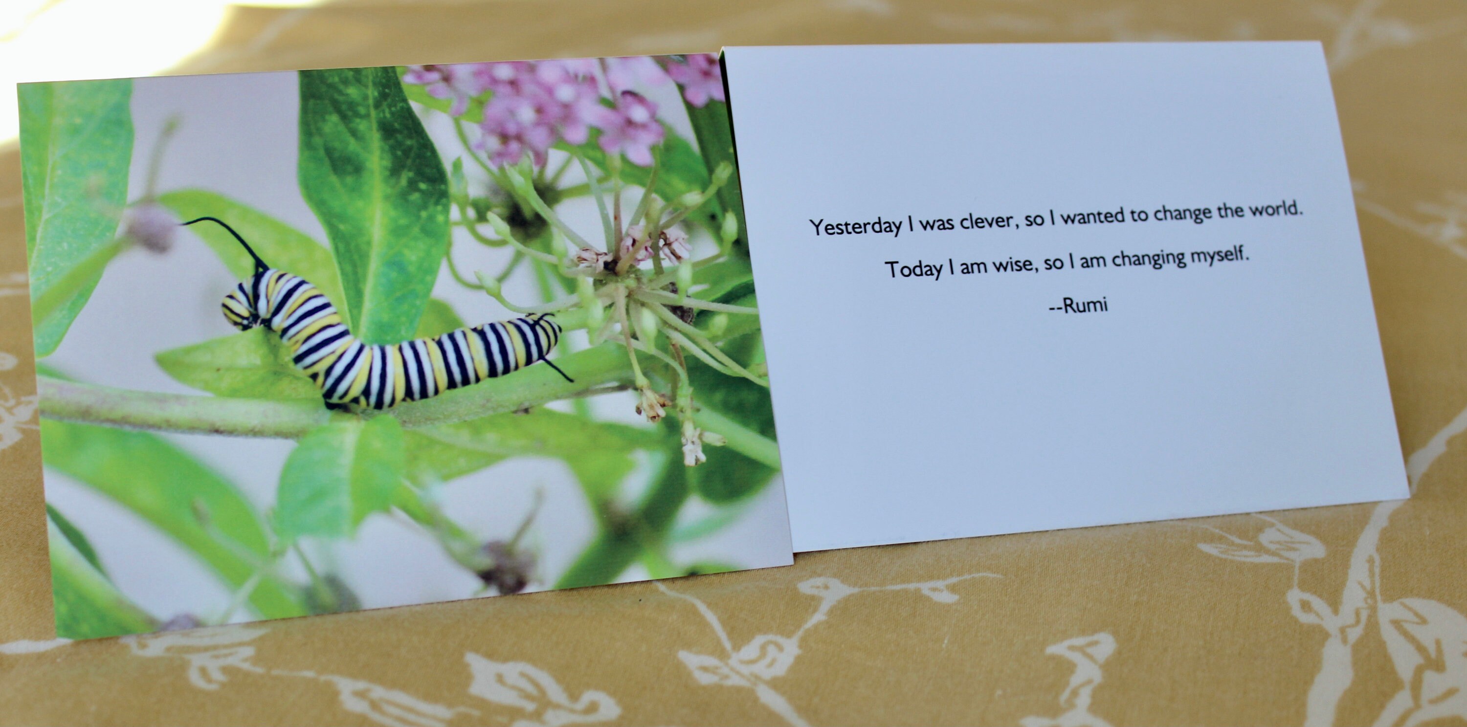 Rumi Note Card: "stages of Development" - Etsy