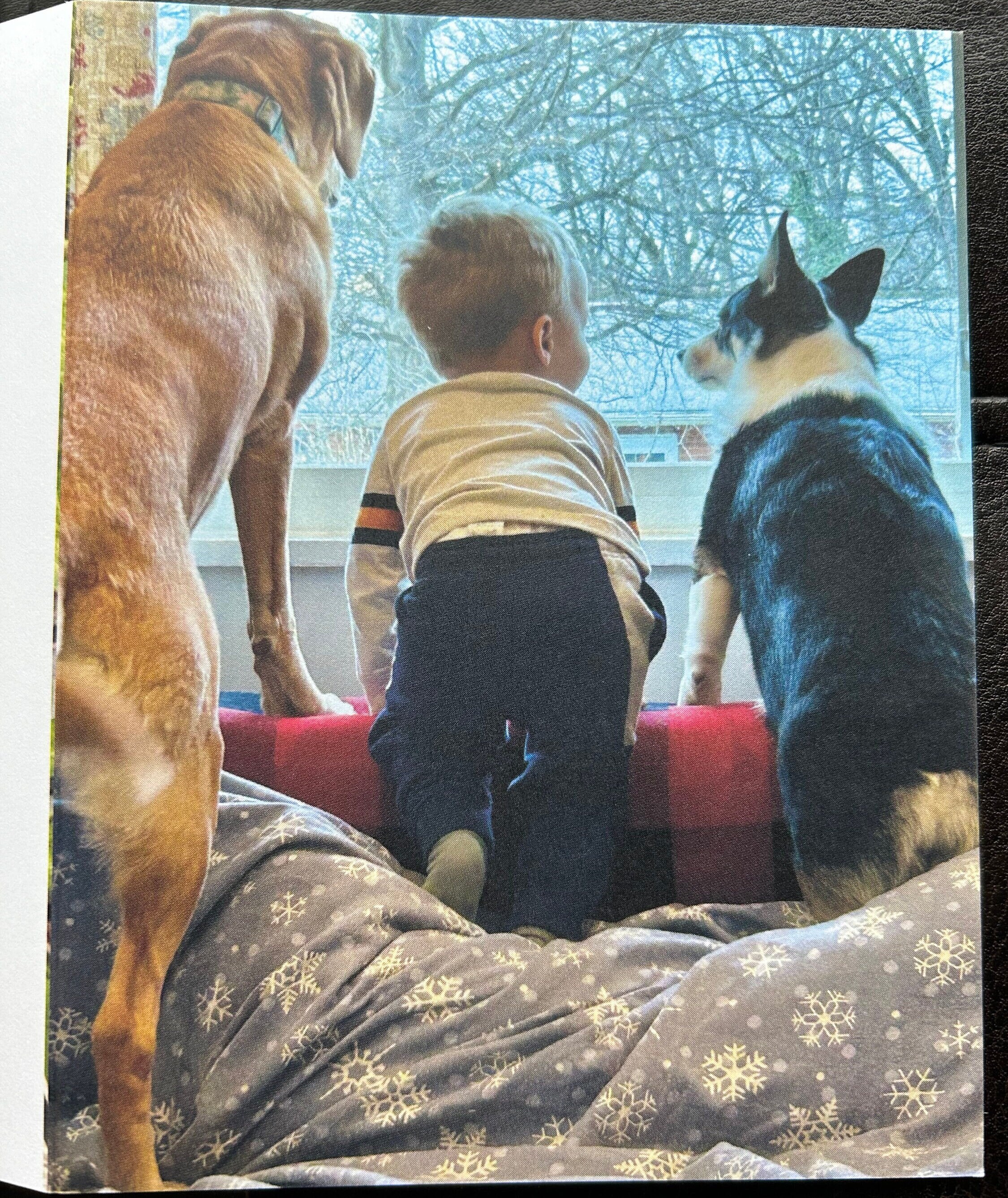 Rumi Note Card: "the Pack" - Etsy