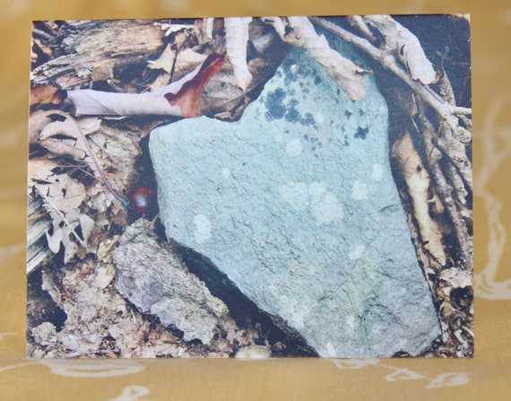 Rumi Note Card: thank You | Etsy