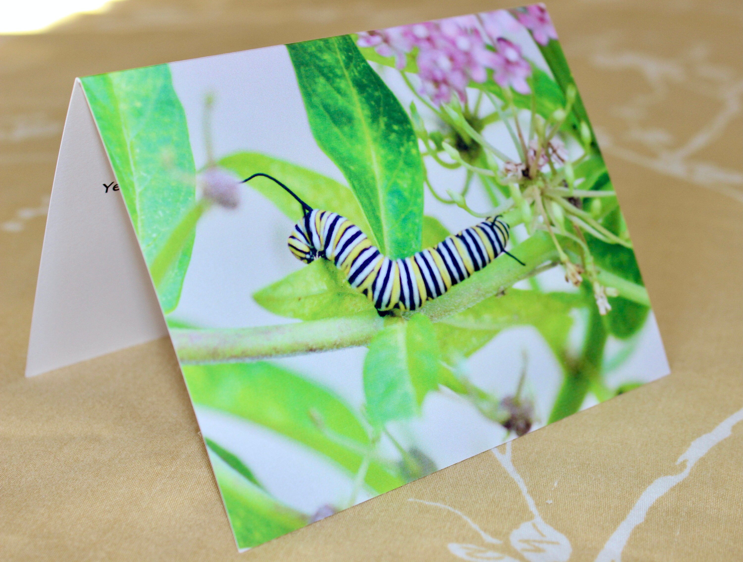 Rumi Note Card: "stages of Development" - Etsy