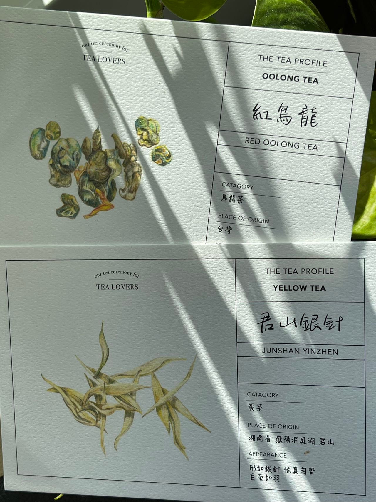 Tea Diary Post Card, Asian Traditional, Illustrations, Gift for Friends ...