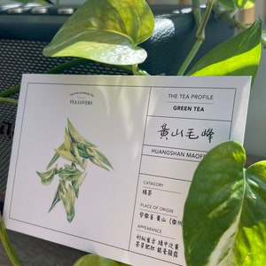 Tea Diary Post Card, Asian Traditional, Illustrations, Gift for Friends ...