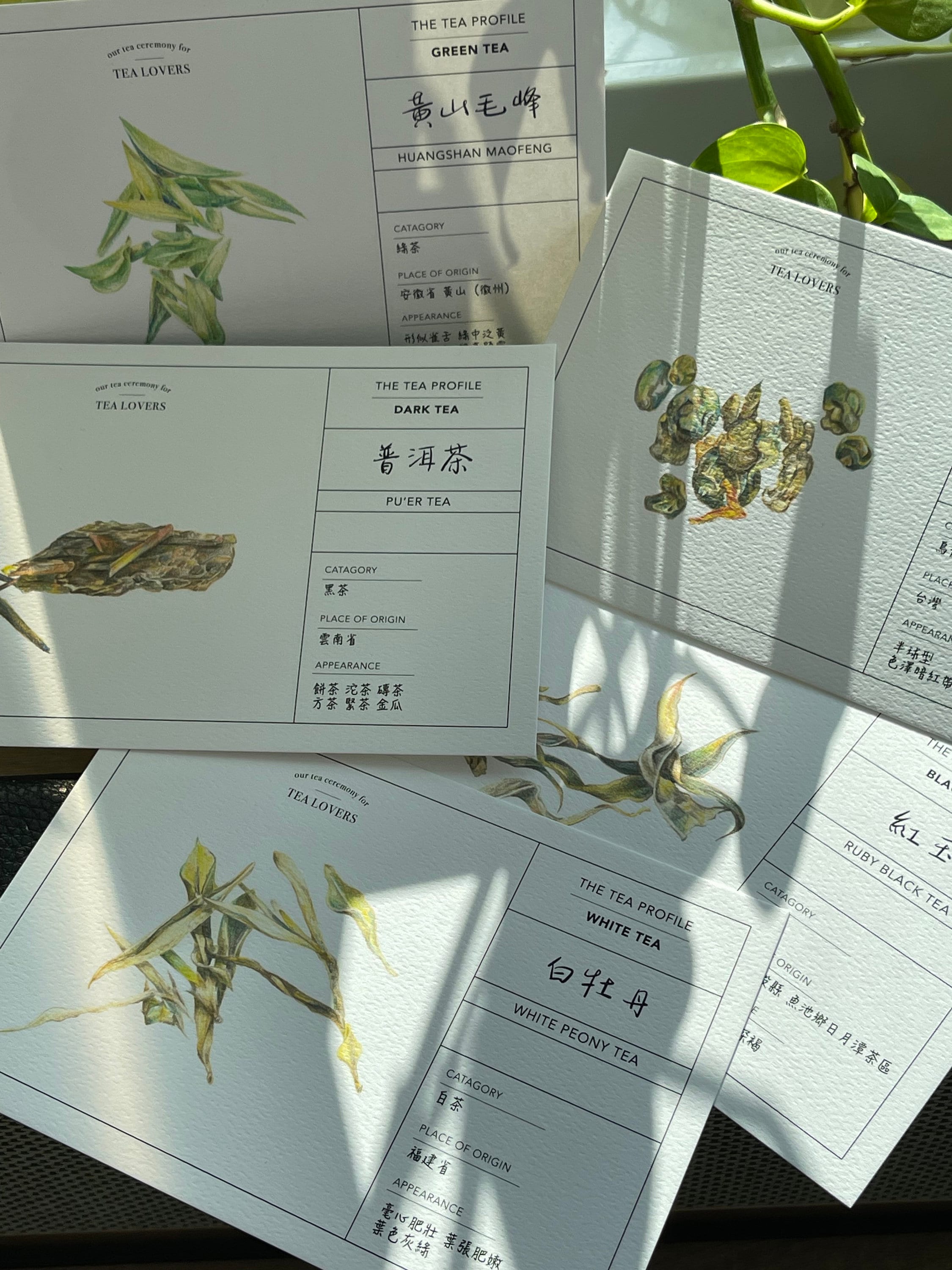 Tea Diary Post Card, Asian Traditional, Illustrations, Gift for Friends ...