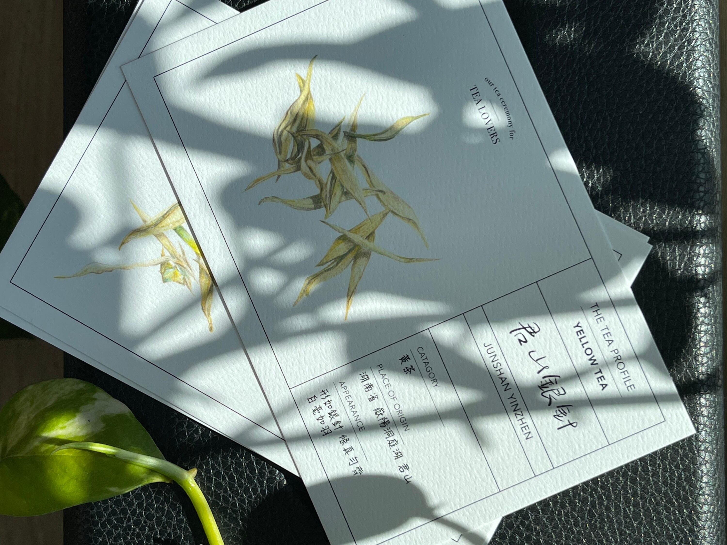 Tea Diary Post Card, Asian Traditional, Illustrations, Gift for Friends ...