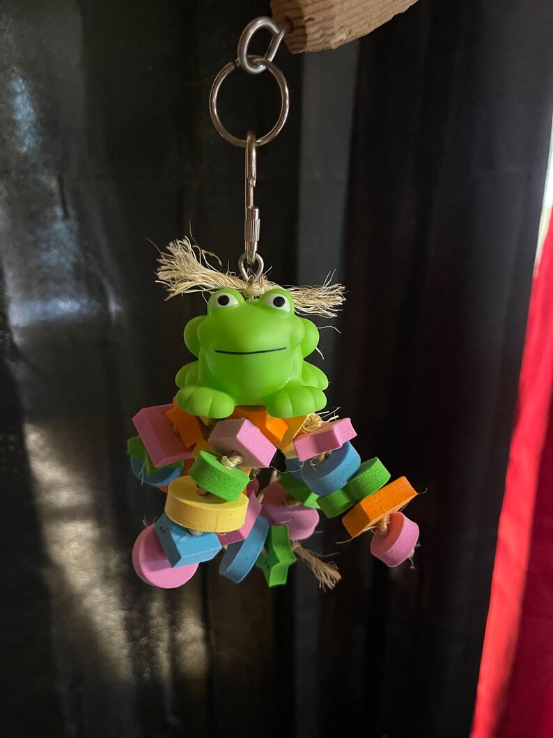 Foamy Frog Fun - Etsy