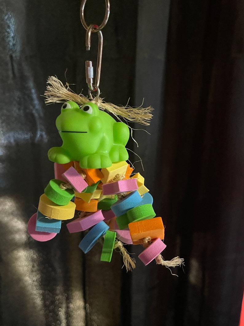 Foamy Frog Fun - Etsy