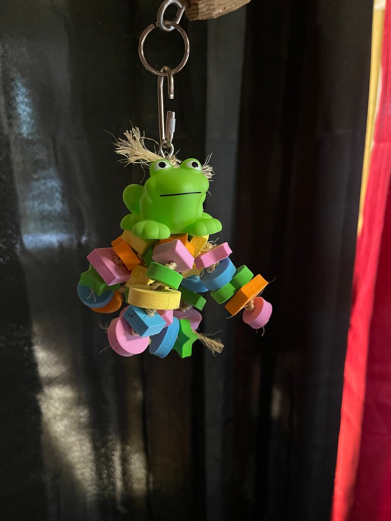 Foamy Frog Fun - Etsy