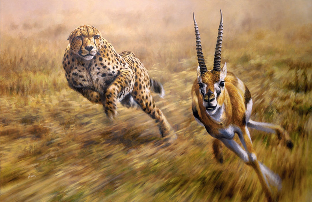 Chase is On, Cheetah Chasing Gazelle Fine Art Print, Signed Limited ...