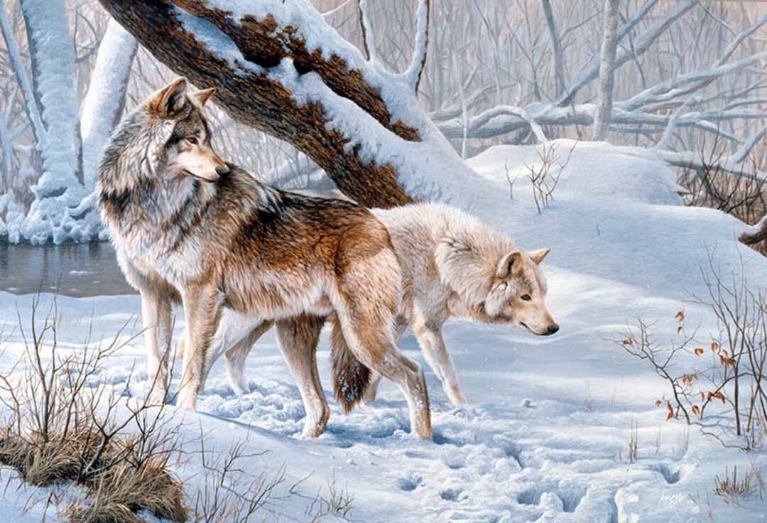 Timber Wolves A5 Card, Wildlife Art by Andrew Ellis - Etsy Canada