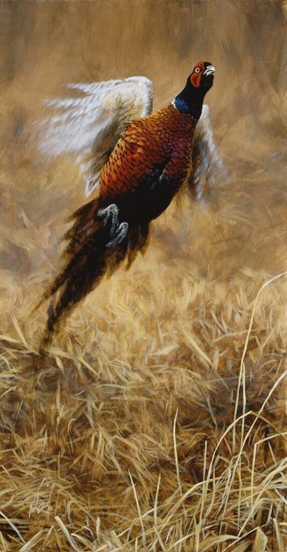 Pheasant Rise Limited Edition Signed Fine Art Print by - Etsy