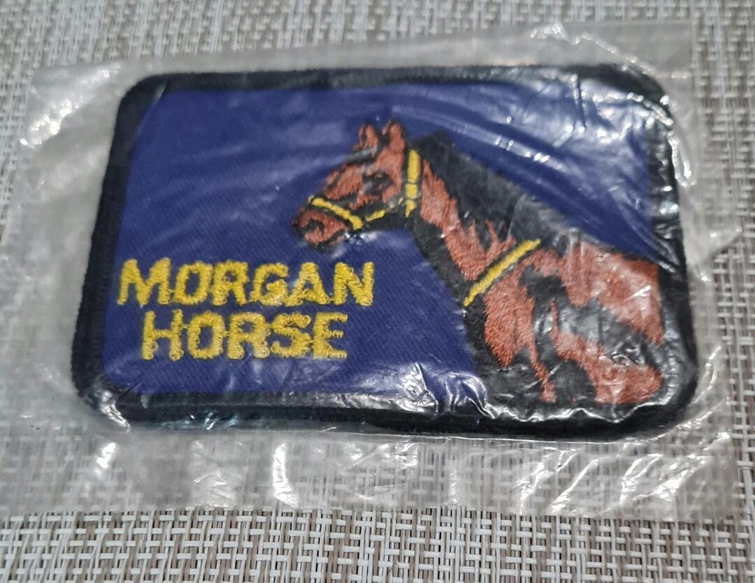 Vintage Morgan Horse Embroidered Patch - Etsy