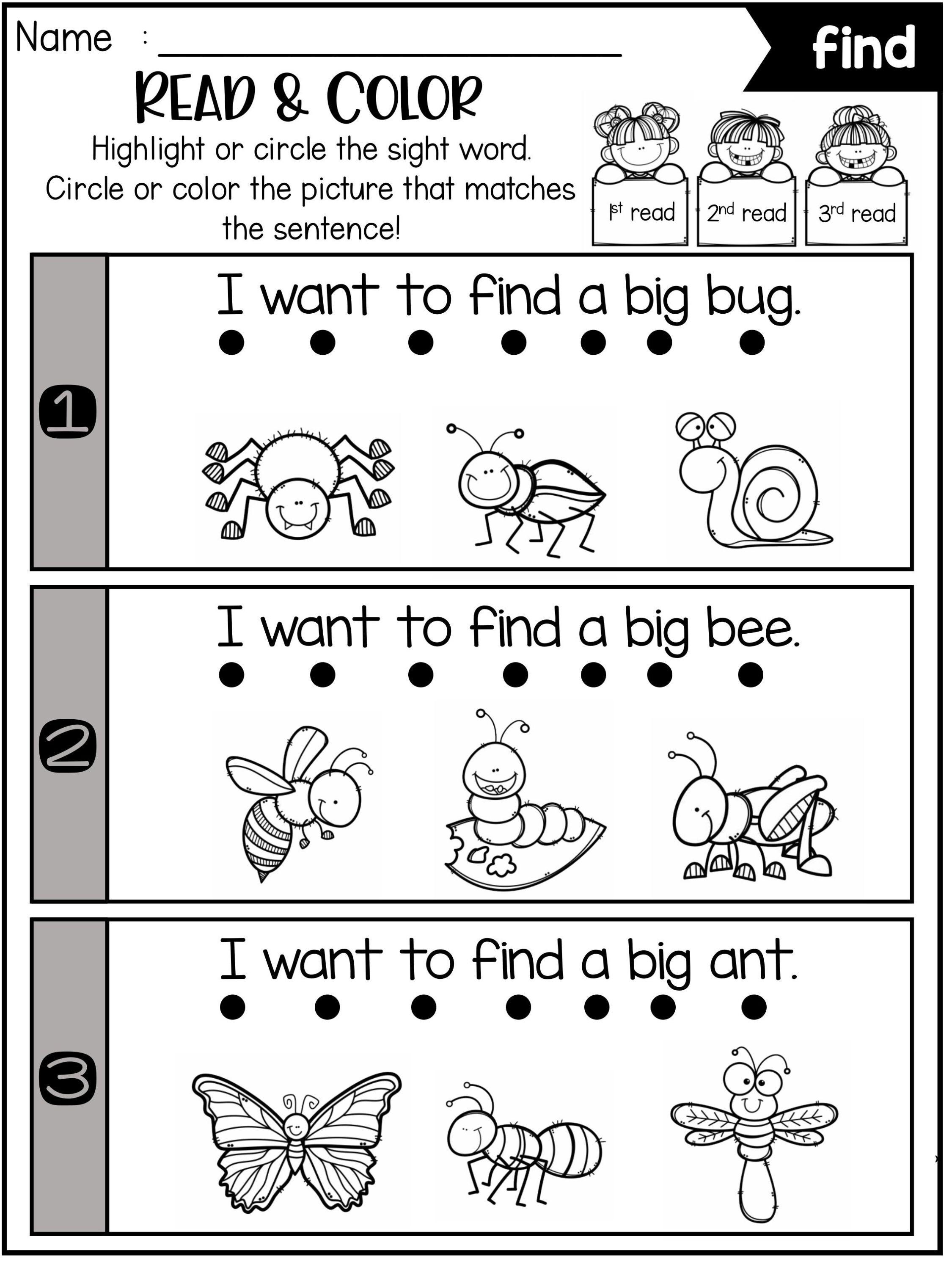 Sight Word Fluency Read and Color - Etsy