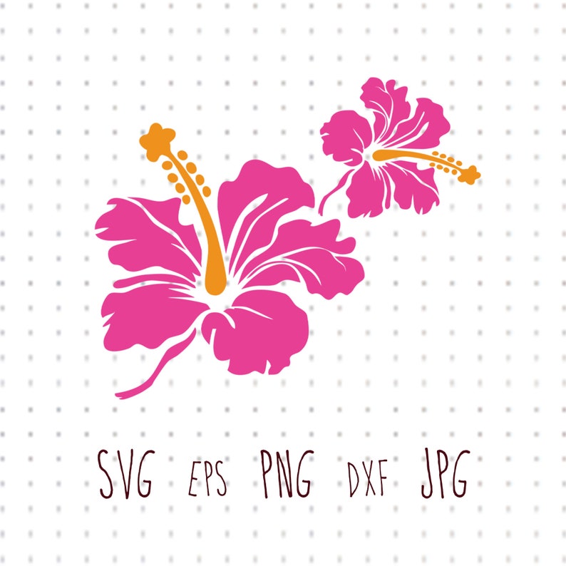 Hibiscus Svg Hibiscus Clip Art Hawaiian Flower Svg Hibiscus Etsy