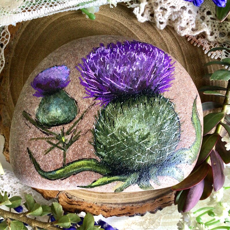 Flower of Scotland. Hand Painted Scottish Standing Thistle Stone ...