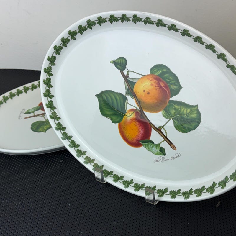 Portmeirion Oval Plate - Etsy