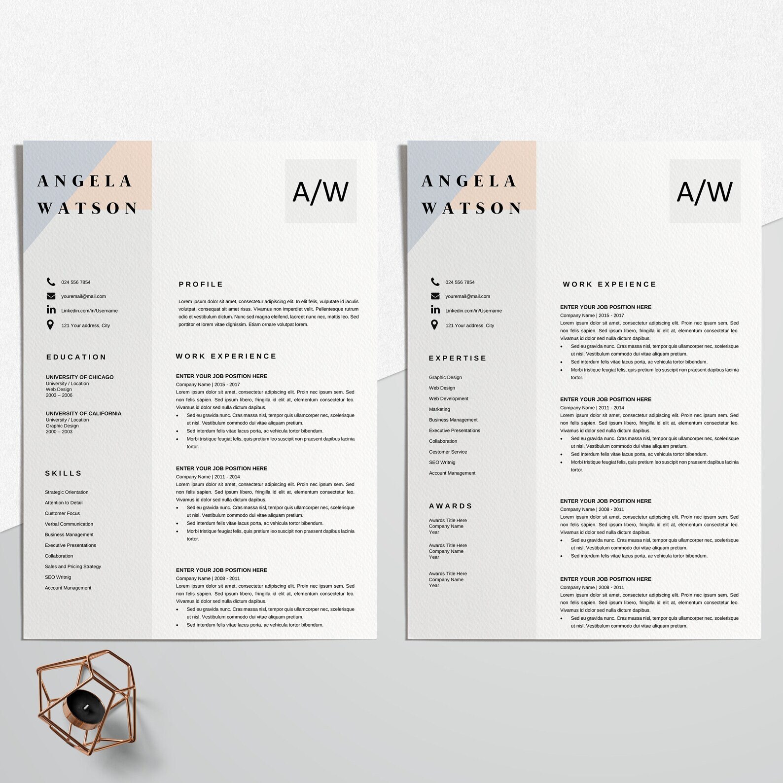 Professional CV Template Word - Resume Template Instant Download in ...