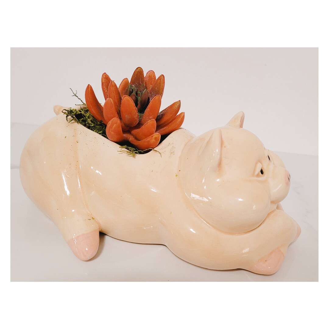Vintage Ceramic Pig Indoor Planter, Pink Pig Planter, Pig Succulent ...