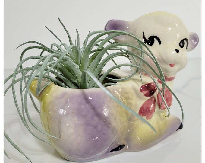 Baby Lamb Ceramic Indoor Planter, Succulent Planter, Planter Collection ...