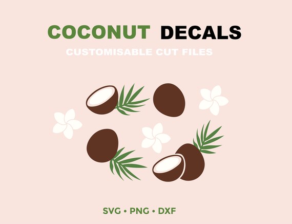 Coconut SVG File for Cricut Coconut Cut File Coconut Svg Cut | Etsy