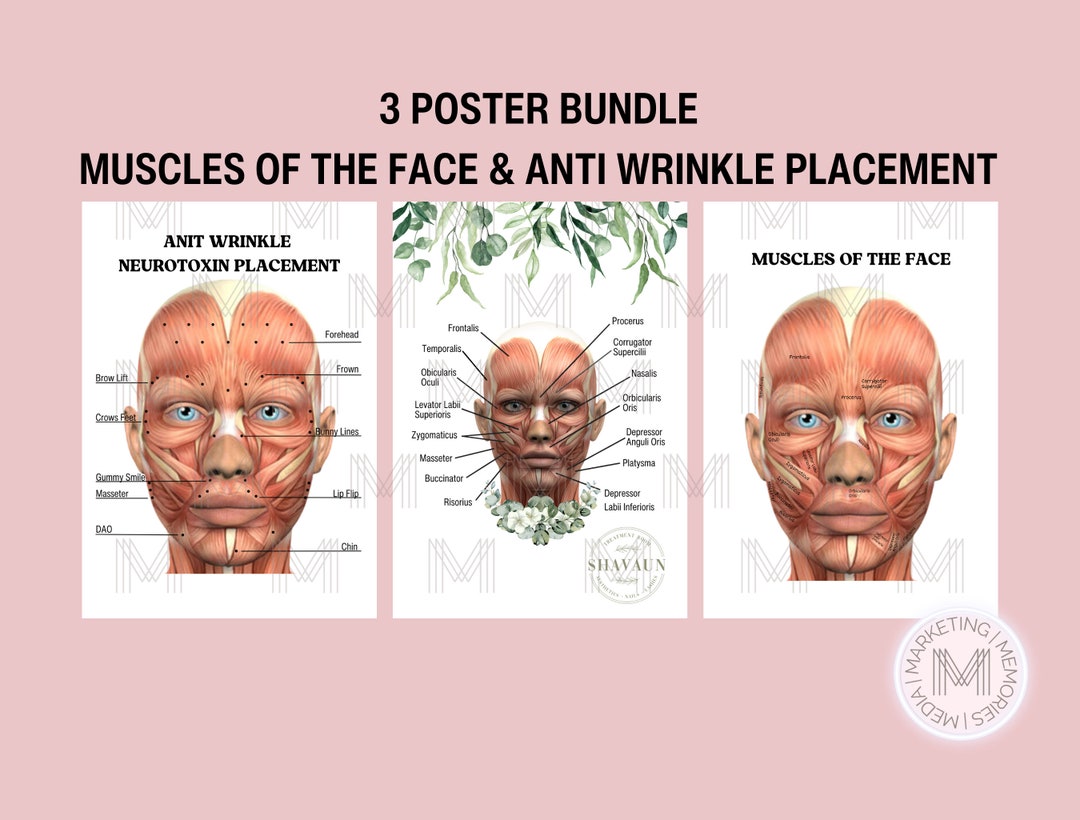 Bundle of 3 Aesthetics Posters, Botox Placement, Anti-wrinkle, Muscles ...