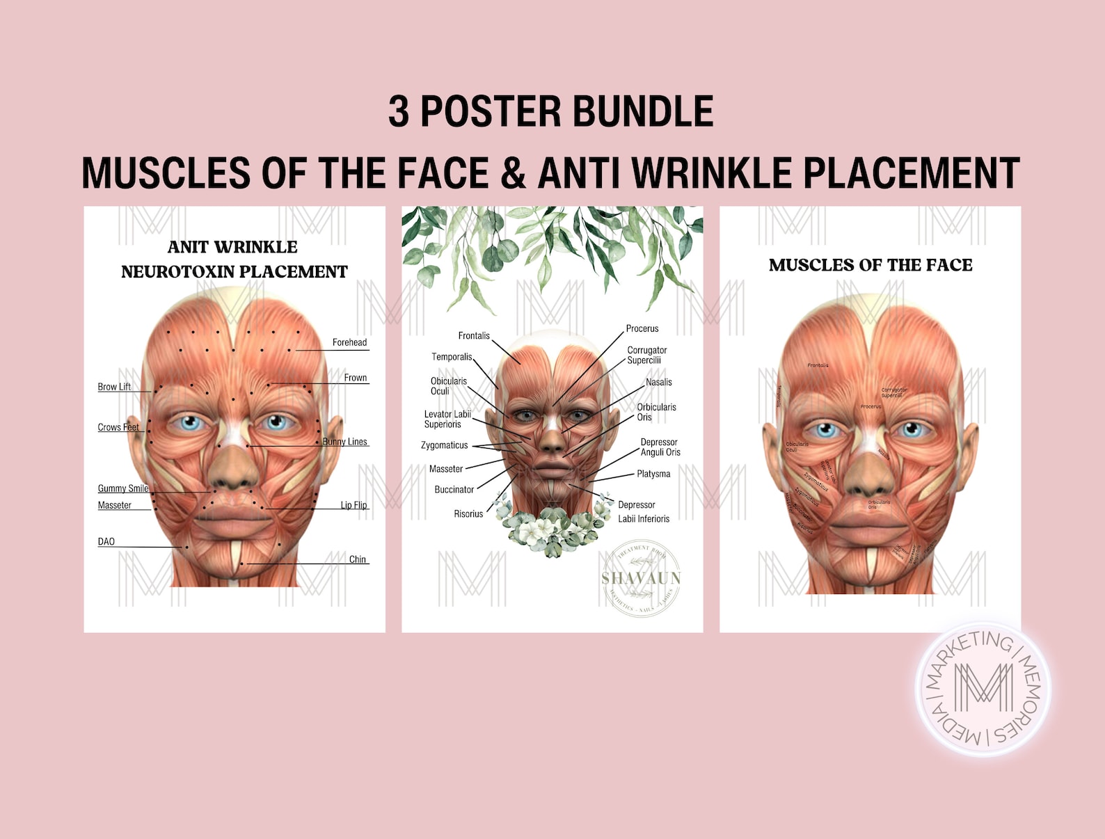 Bundle of 3 Aesthetics Posters, Botox Placement, Anti-wrinkle, Muscles ...