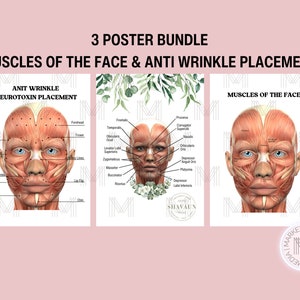 Bundle of 3 Aesthetics Posters, Botox Placement, Anti-wrinkle, Muscles ...