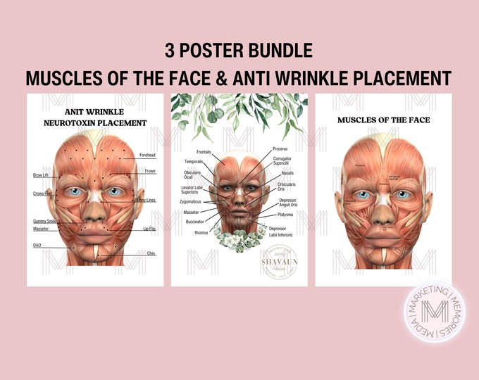 Bundle of 3 Aesthetics Posters, Botox Placement, Anti-wrinkle, Muscles ...