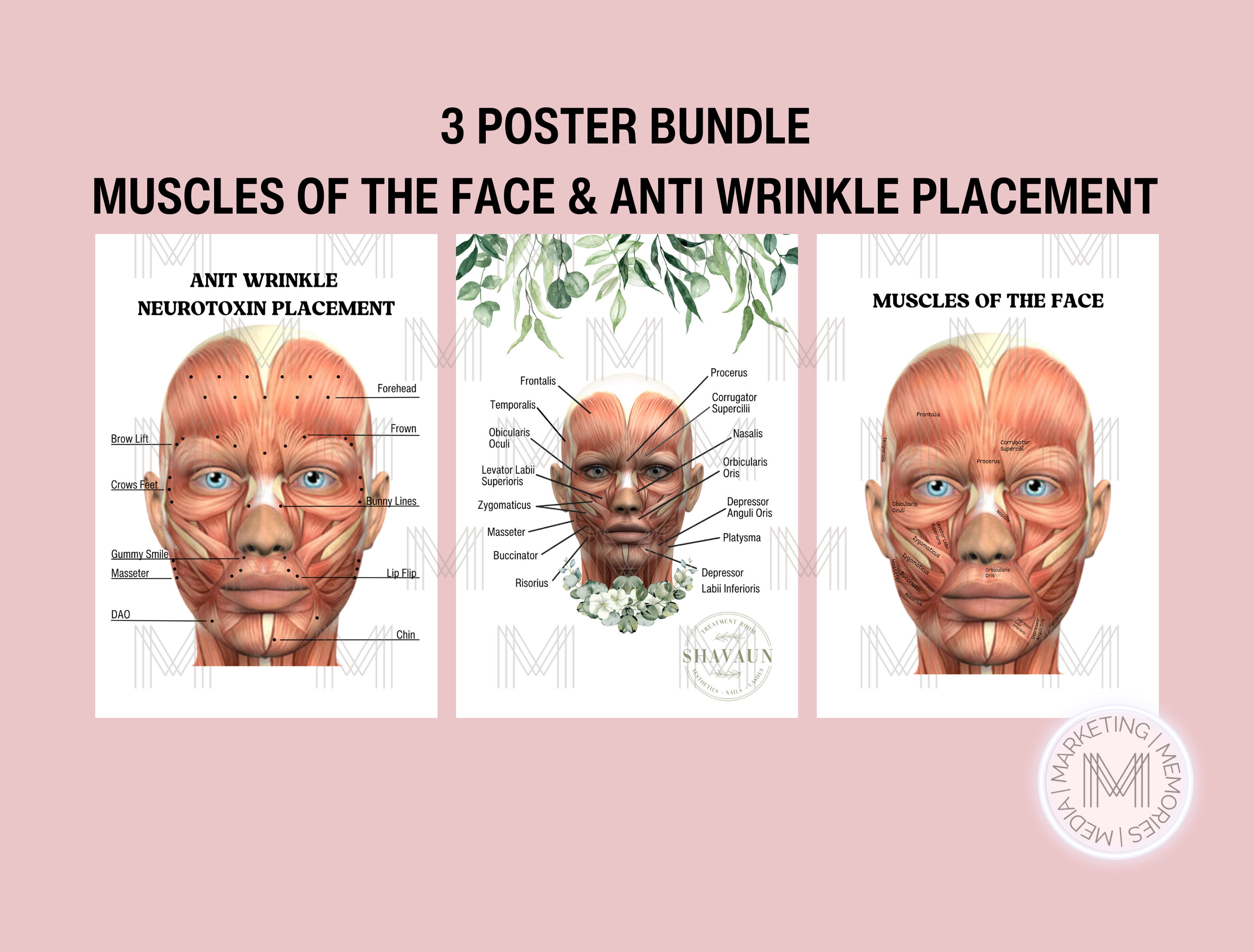 Bundle of 3 Aesthetics Posters, Botox Placement, Anti-wrinkle, Muscles ...